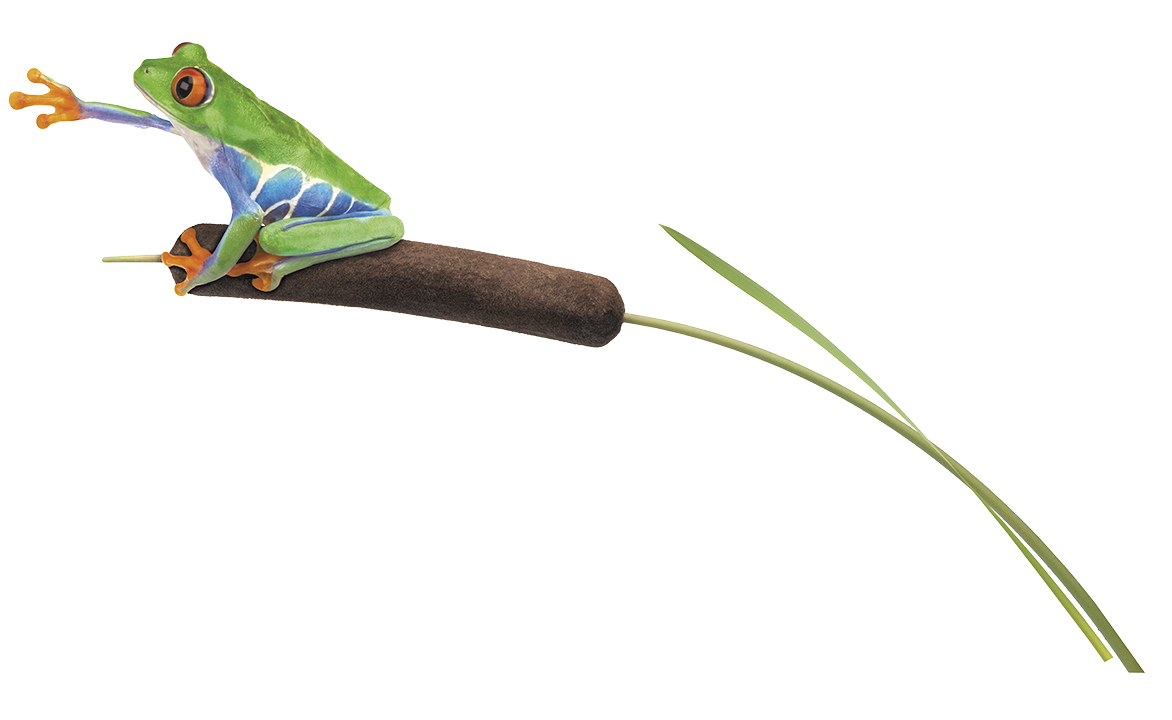 Telus Health / Finance Gateway