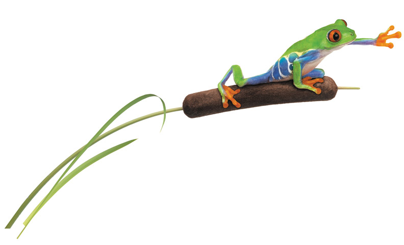 Telus Health / Finance Gateway